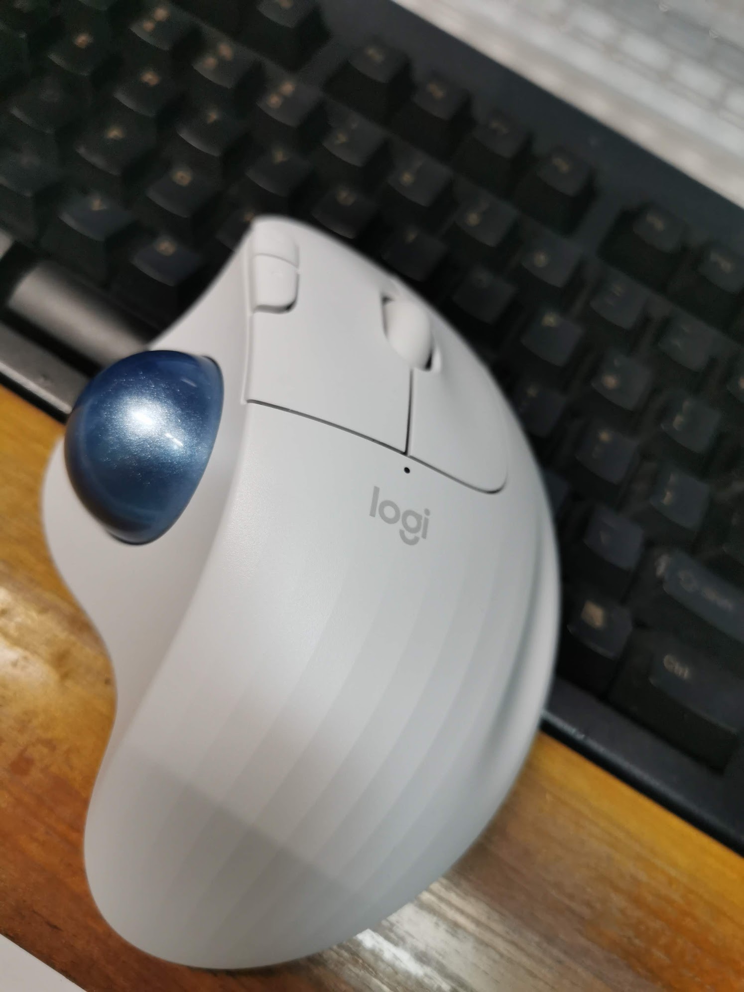 Logi ERGO M575レビュー│上質で使いやすいよ神トラボ | これ、どうやって撮るの？